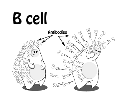 Cell Cartoons